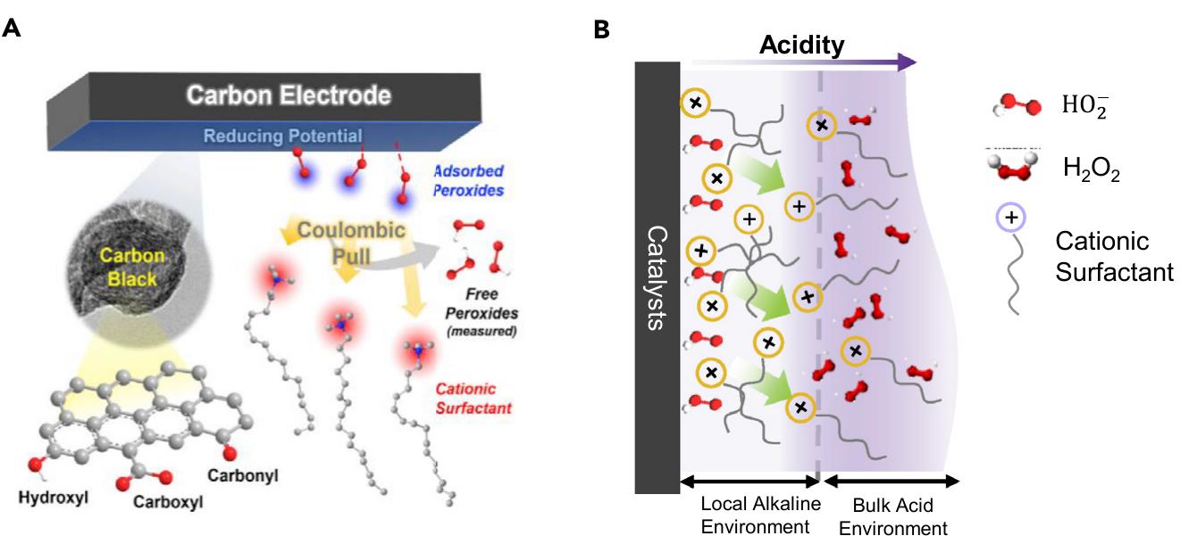 Schematic diagram of the coulombic interaction induced by