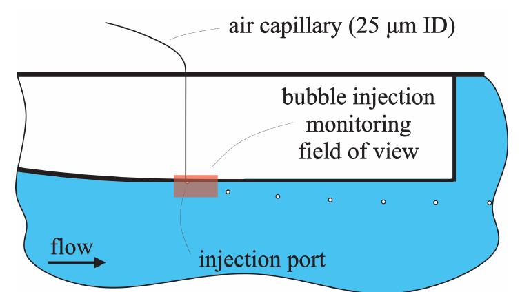A schematic of the nuclei injection system consisting of a