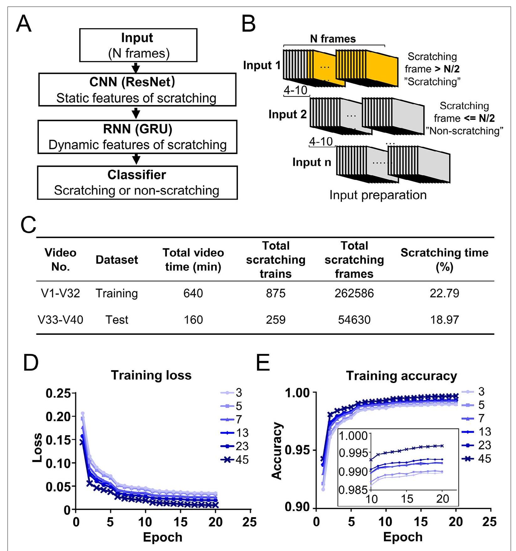 Deep learning neural network design and training. (a)