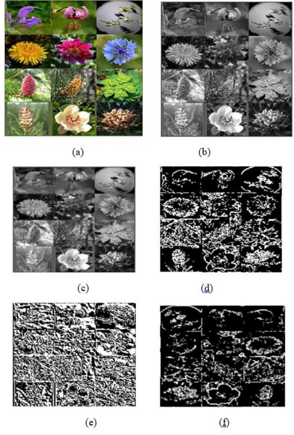 Figure 9 - An Efficient Vlsi Implementation of Edge