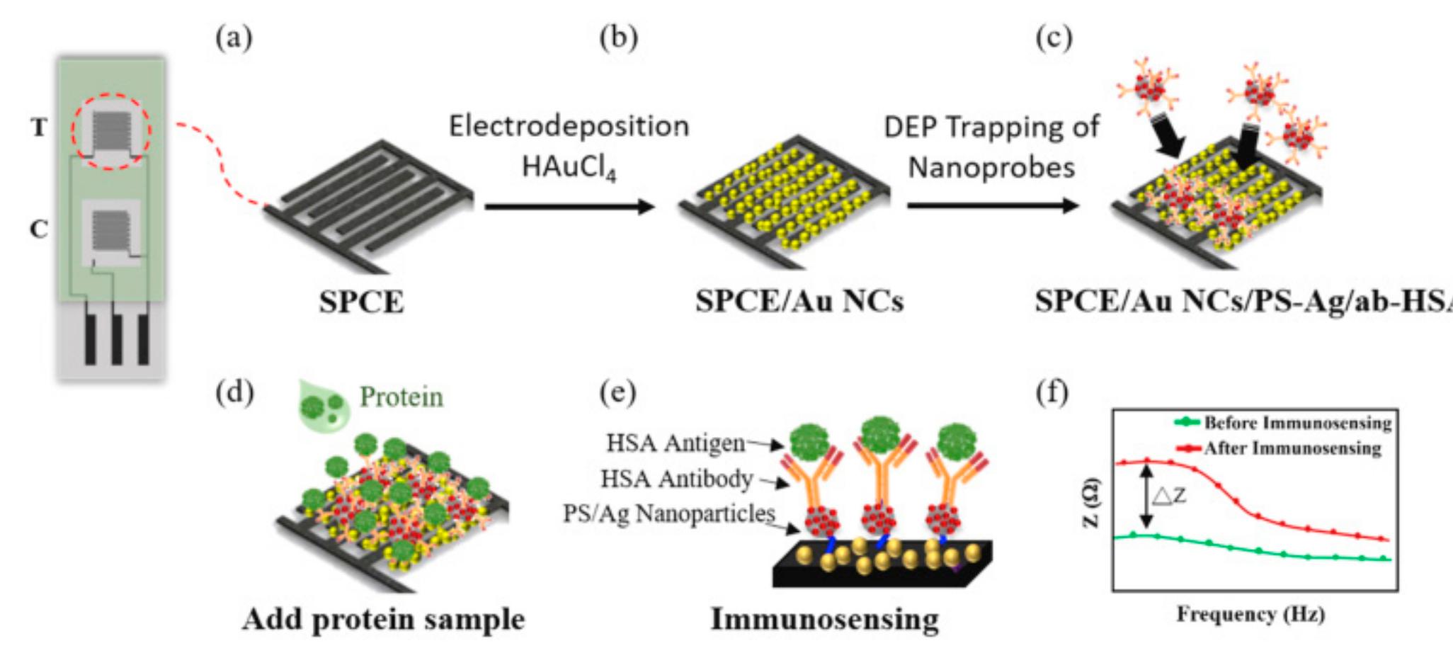 Schematic illustration of systematic protocol for