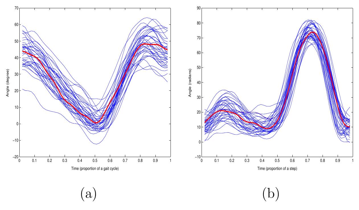 Angle in the sagittal plane formed by (a) the hip and (b)