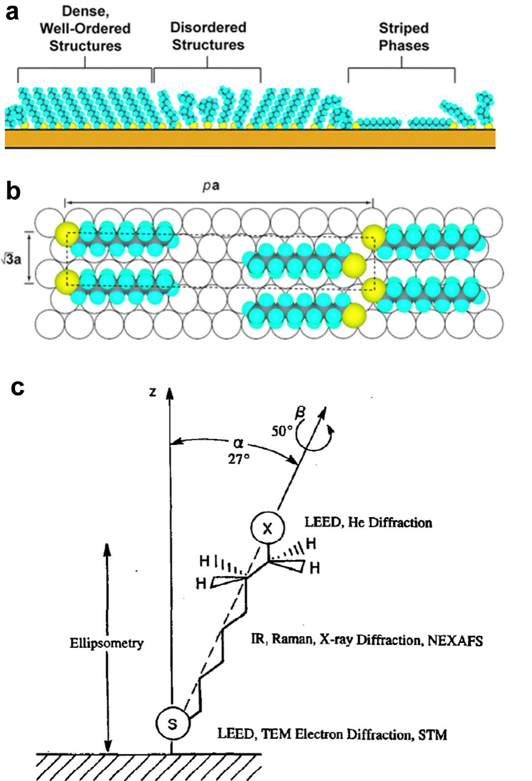 Structure of thiol surfactants on gold. (a) schematic view