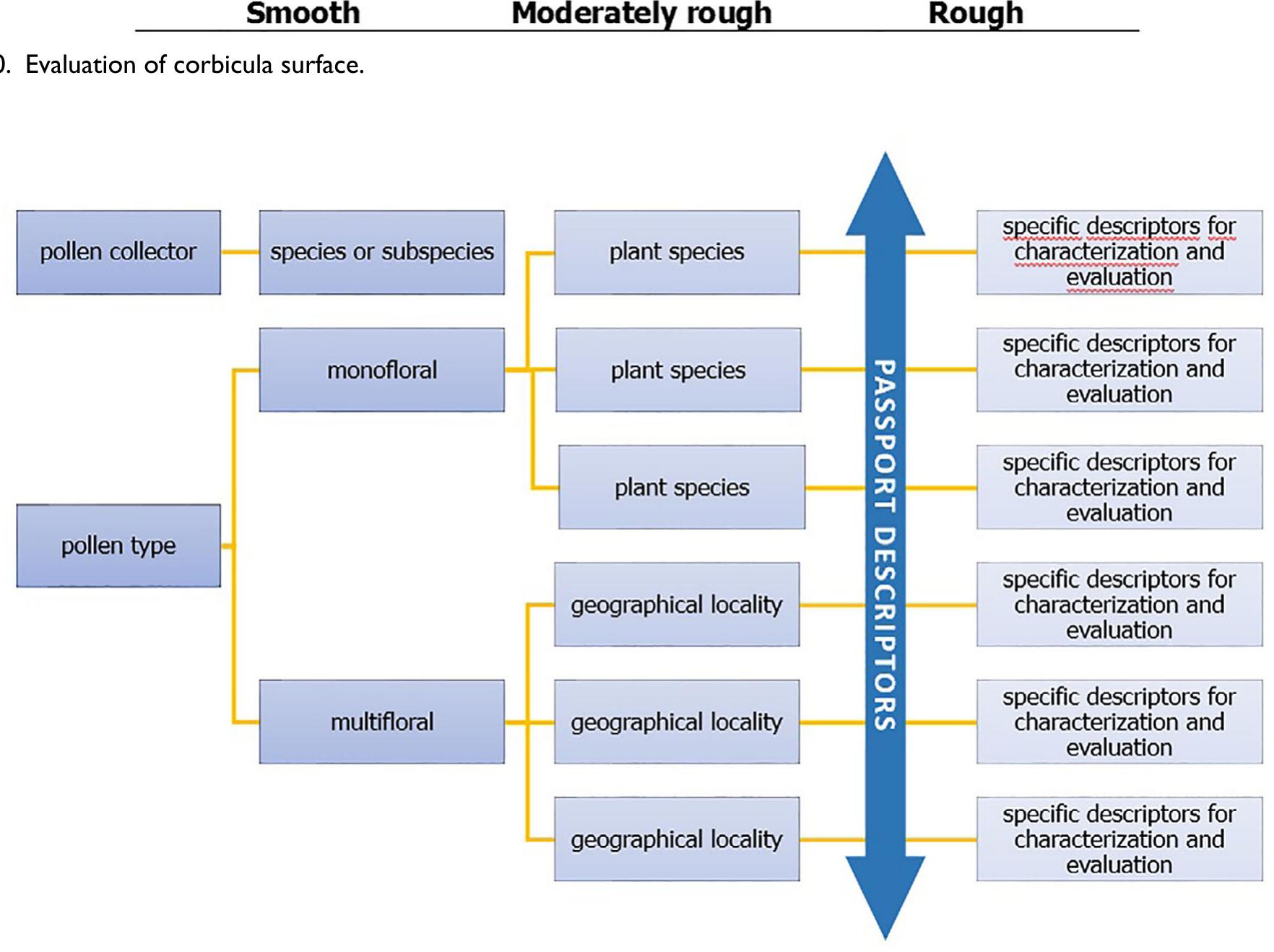 Flow chart of the descriptors list structure. institutions