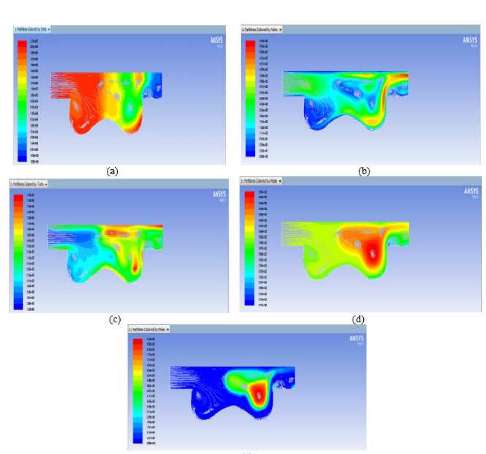 Scc at fluid diesel+b20, path lines counter plots. (a)