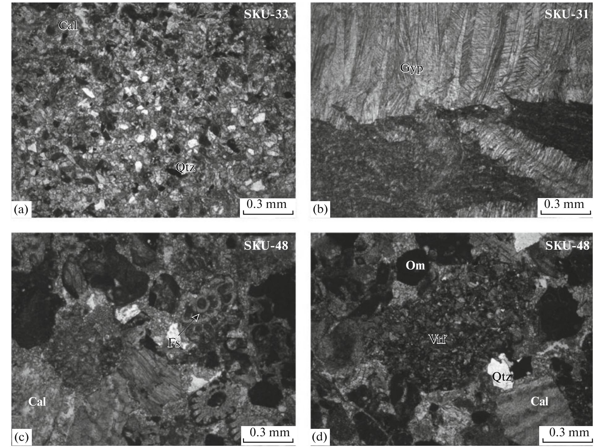 Om microphotographs of rocks from yapali member (plane