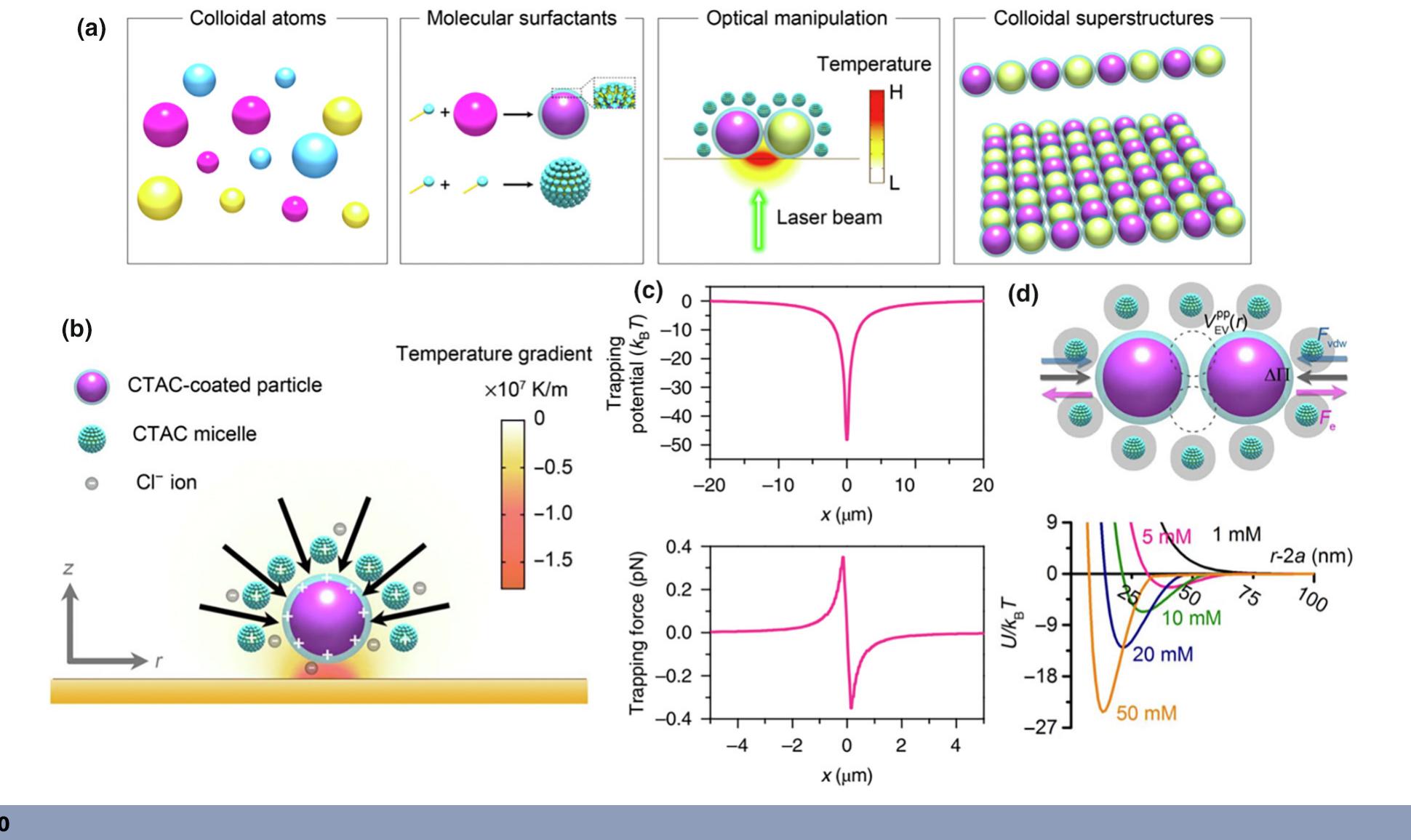 (a) schematic showing the assembly process of colloidal