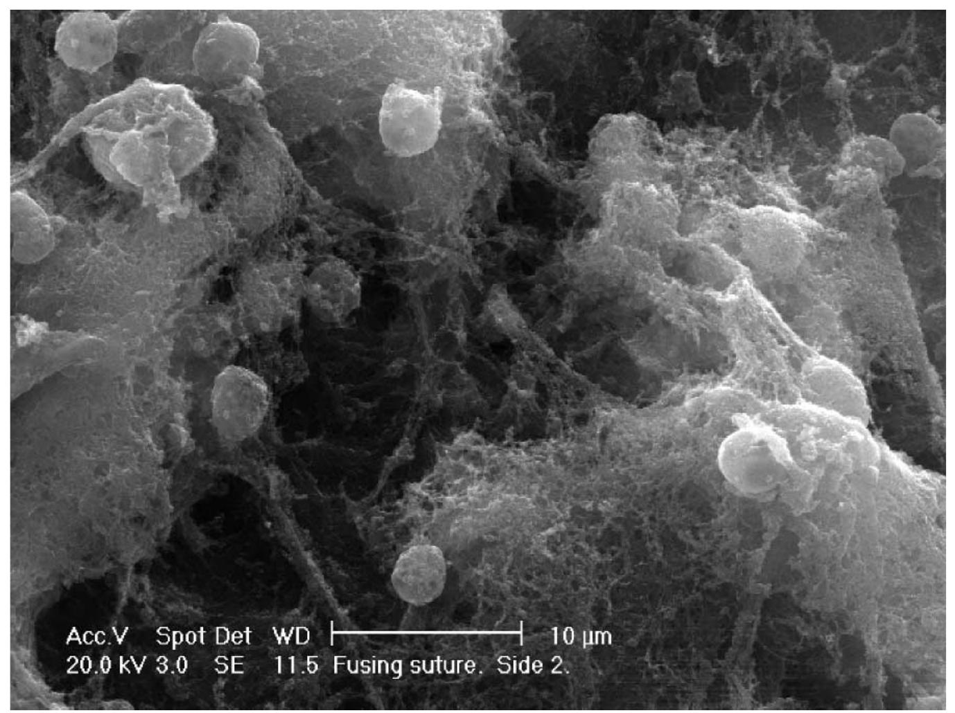 Figure 16 - Scanning Electron Microscope and Micro-CT
