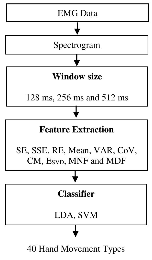 - flow diagram of the pattern recognition architecture.