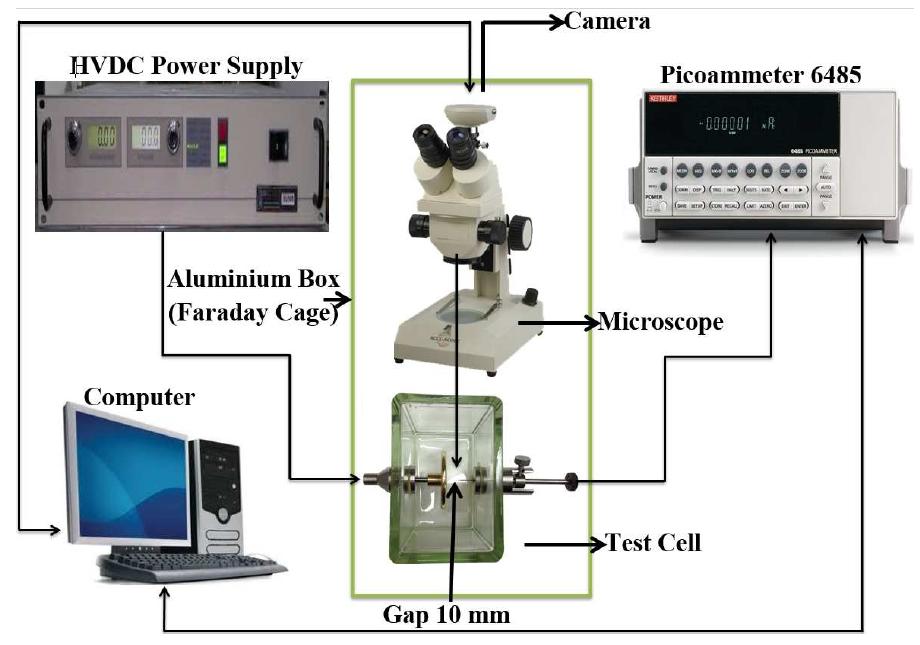 The test cell was positioned under a microscope that had a