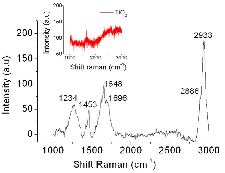 Raman spectra of paa untreated (inset) and treated tio2