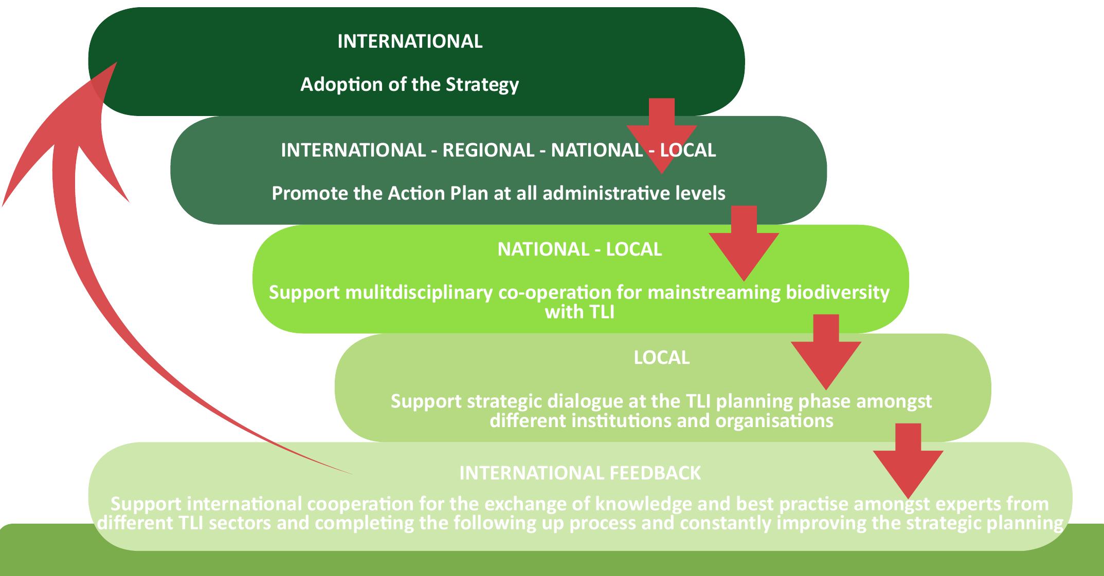 A flowchart outlining the initiatives that should be