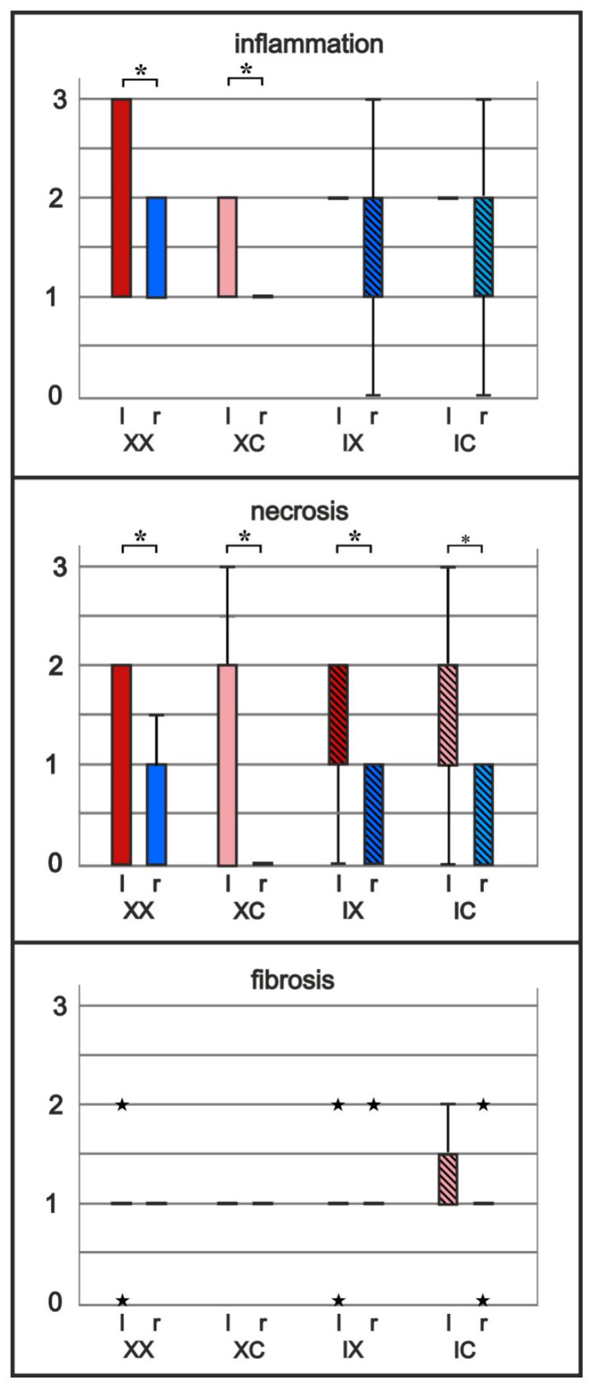 Score values of inflammation, necrosis and fibrosis in
