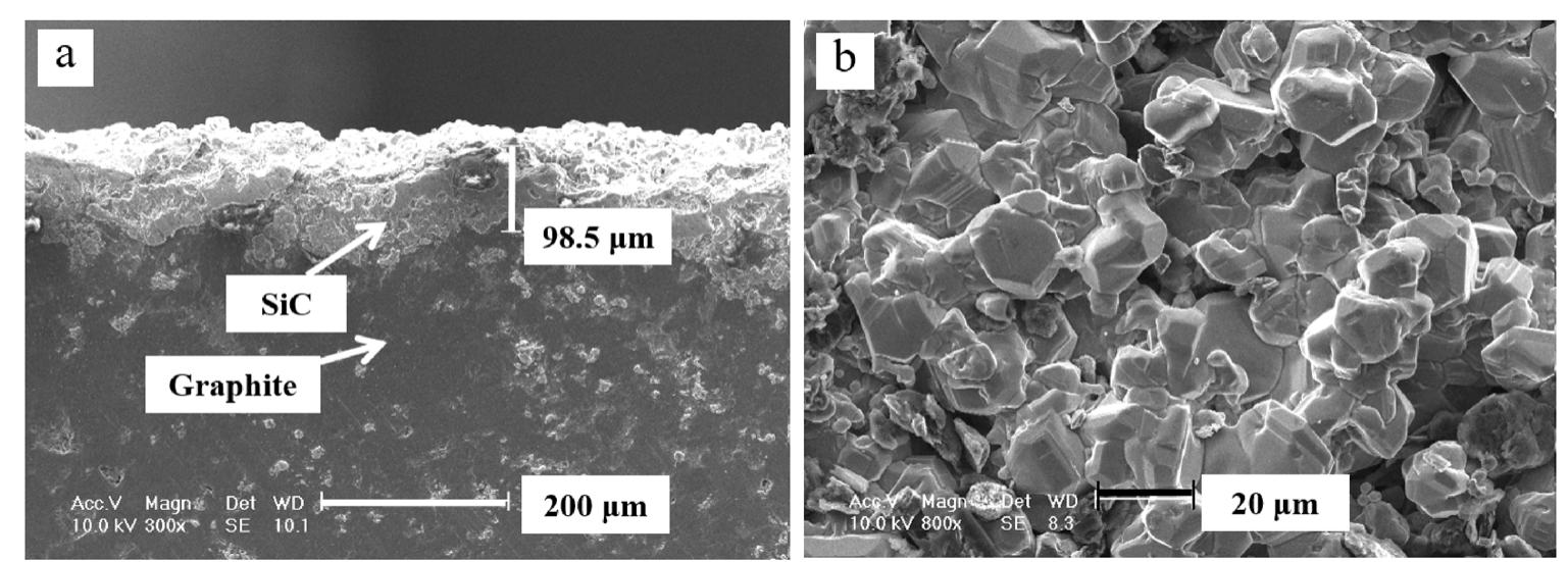 Sem images of the (a) cross-section and (b) surface of the