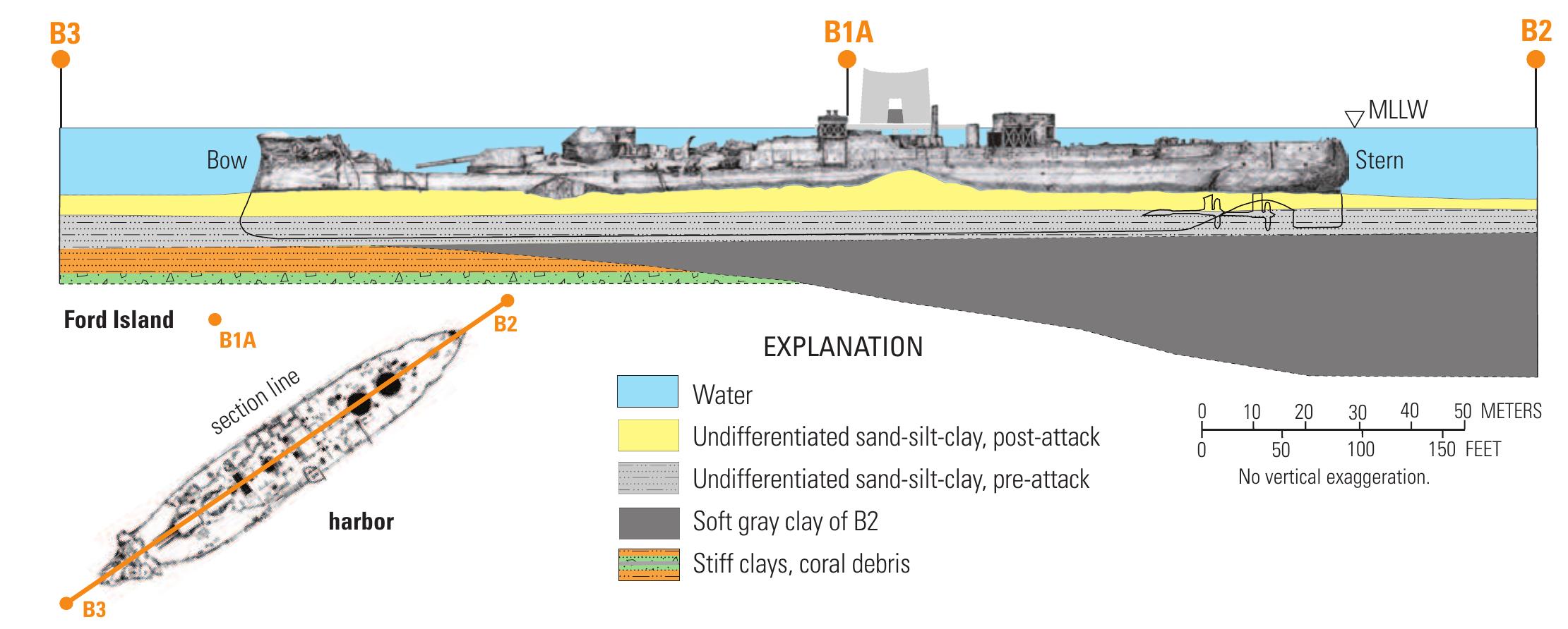 Cross-section of modeled sediment stratigraphy along the