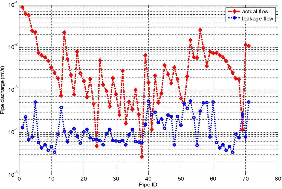 The pattern of the pipe discharges and the leakage flow in