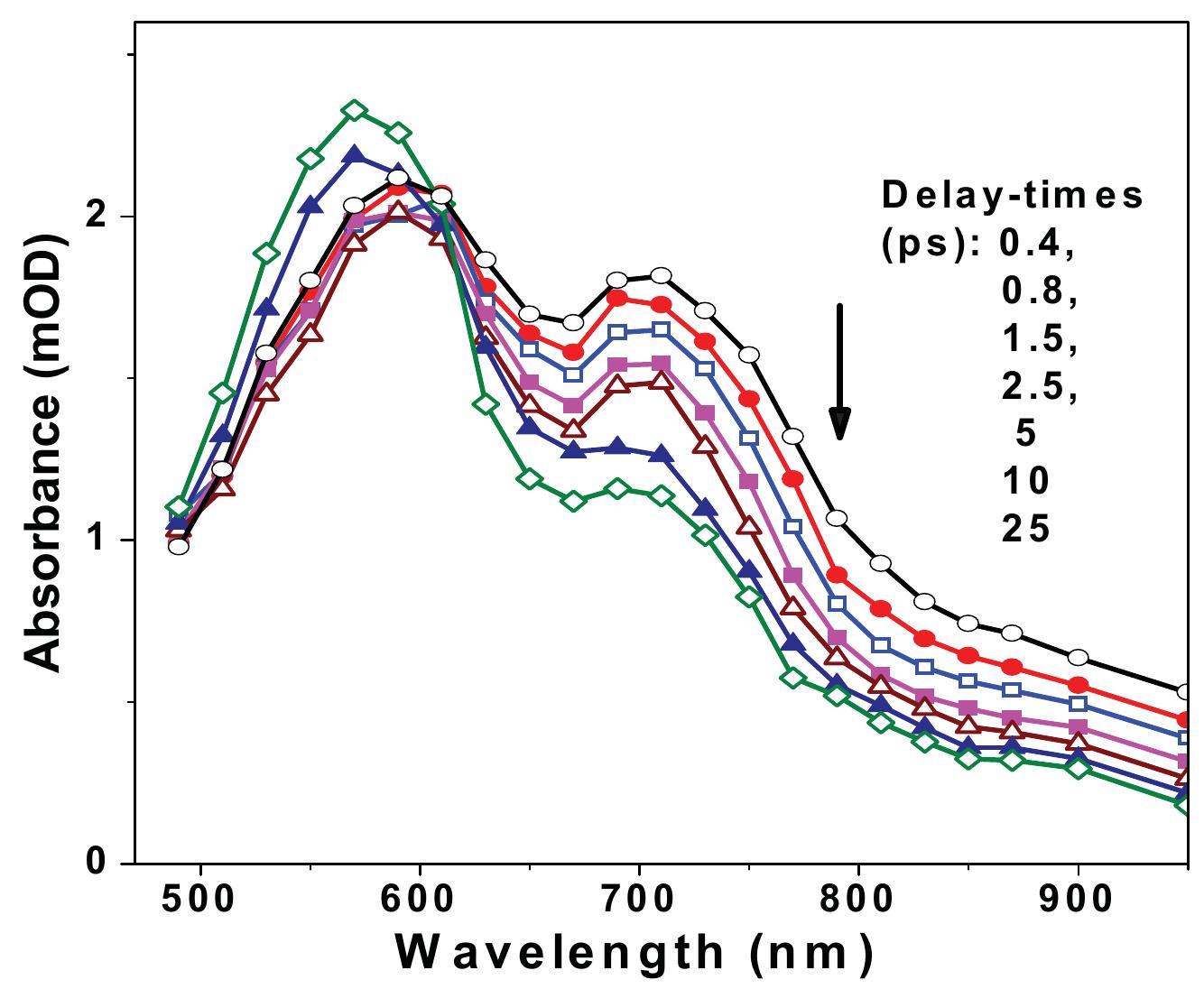 5. time-resolved absorption spectra of the transients