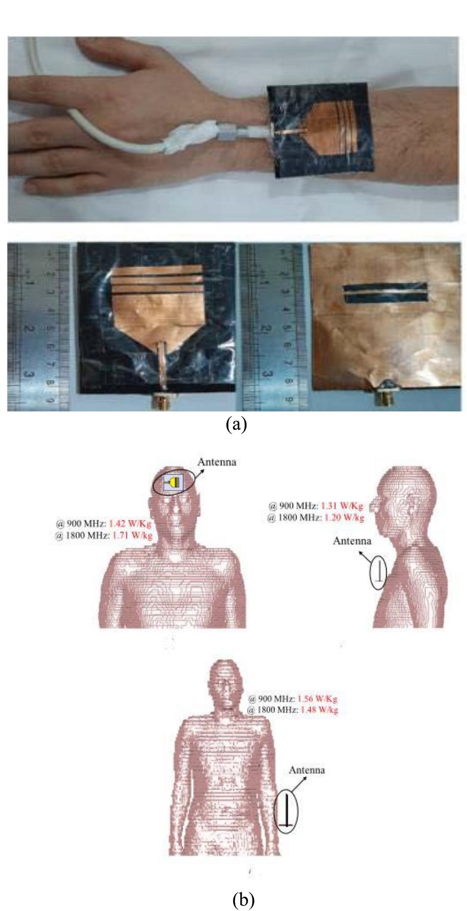 Figure 9 - from Recent Advancement of Wearable