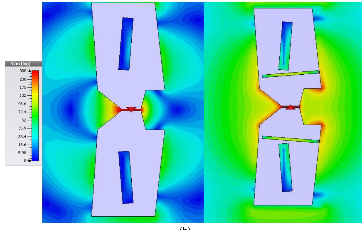 Simulation of the tangential electric field distribution at