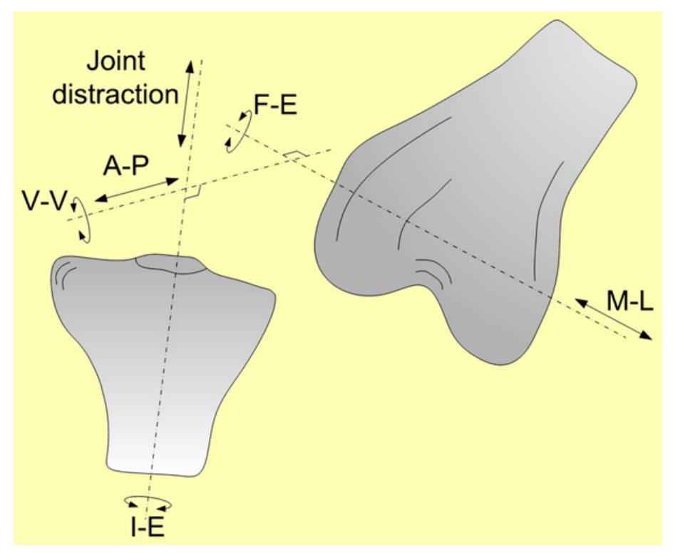 The six degrees of freedom of tf joint motion expressed in a