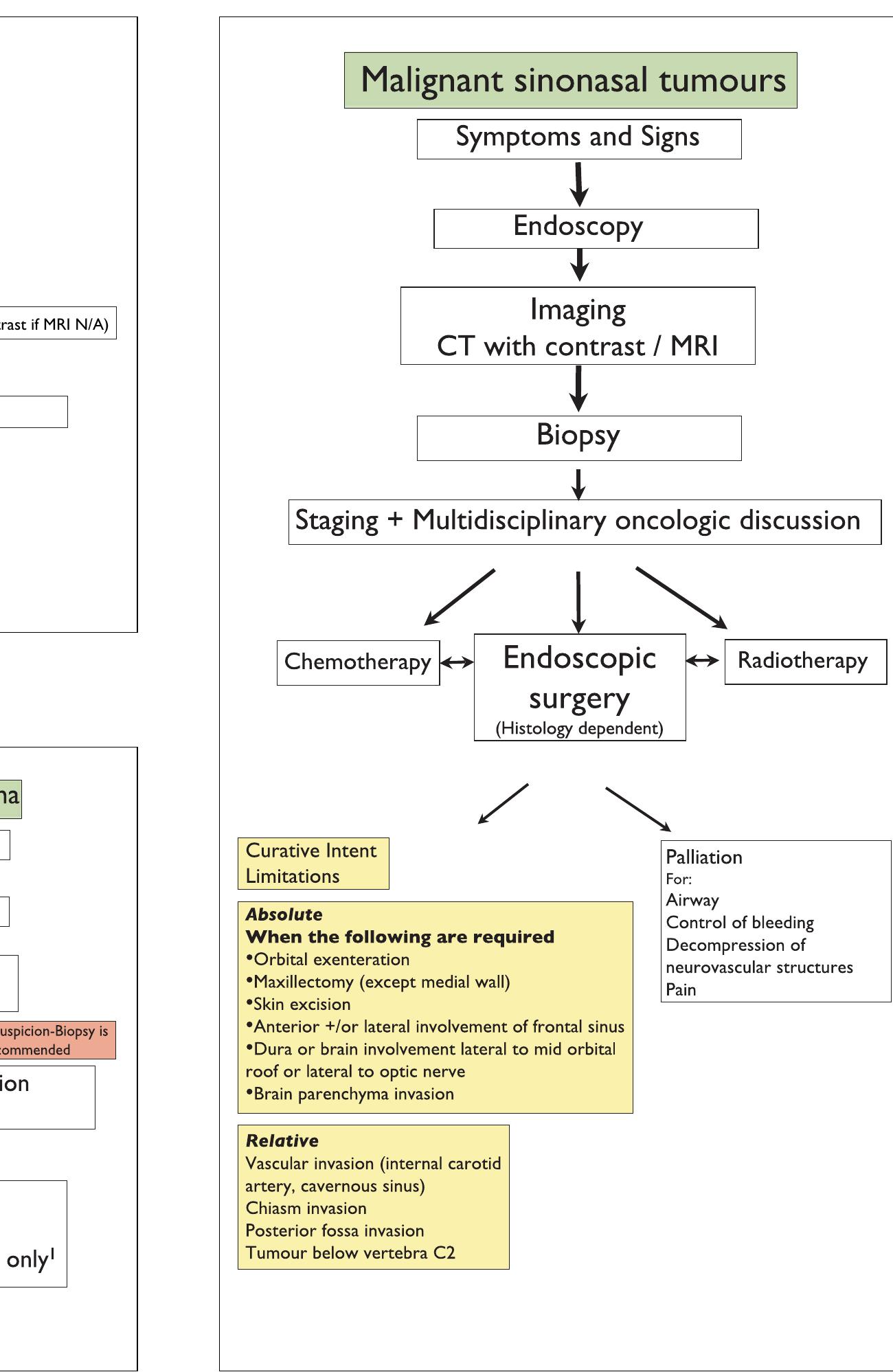 14.3. management algorithm for malignant sinonasal tumours
