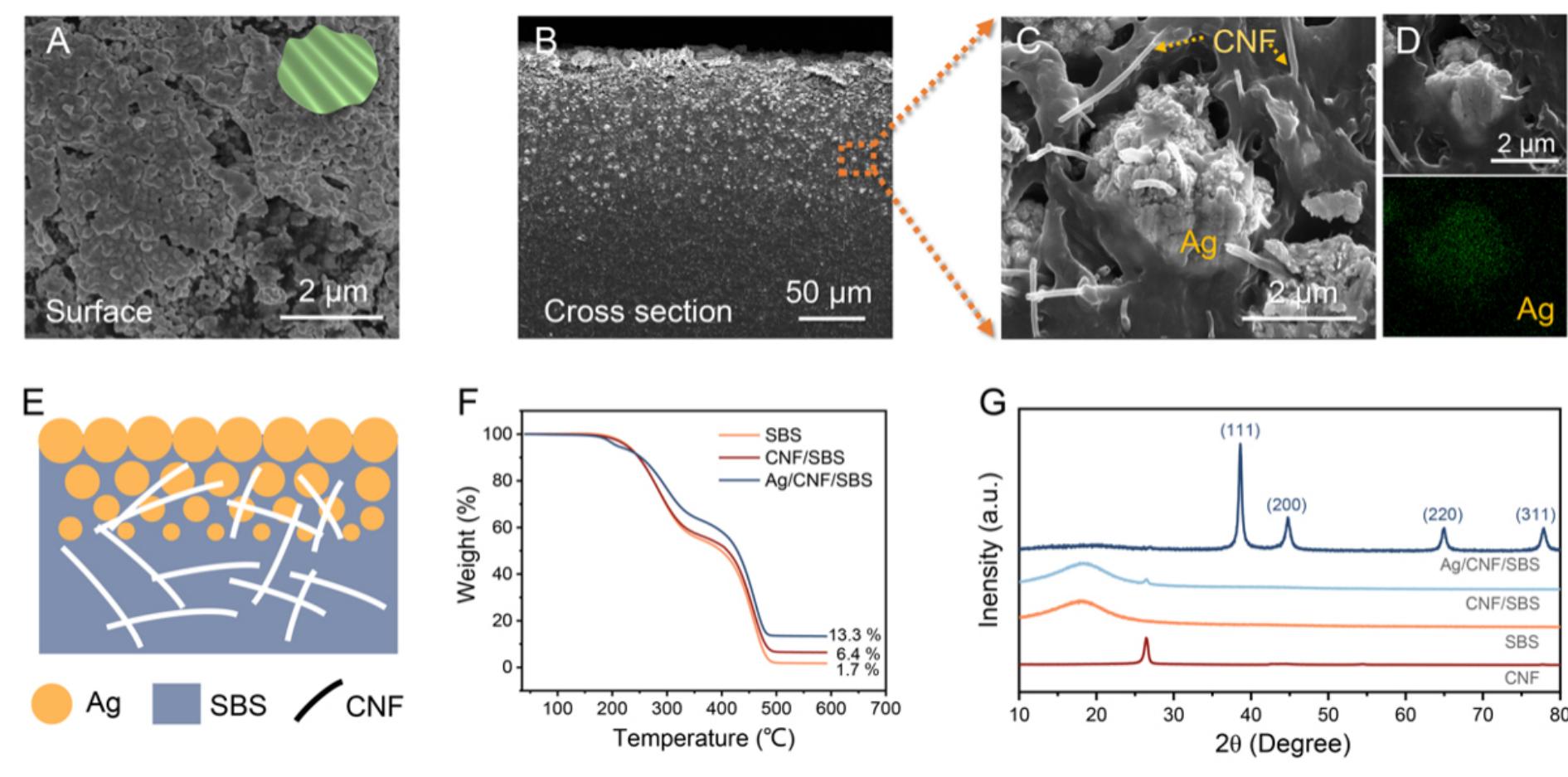 (a) sem image of ag/cnf/sbs surface; (b) sem image of