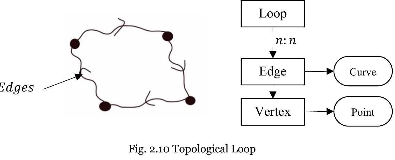 Face (n:n) mapping relation between loop and edge. ——o ‘ace