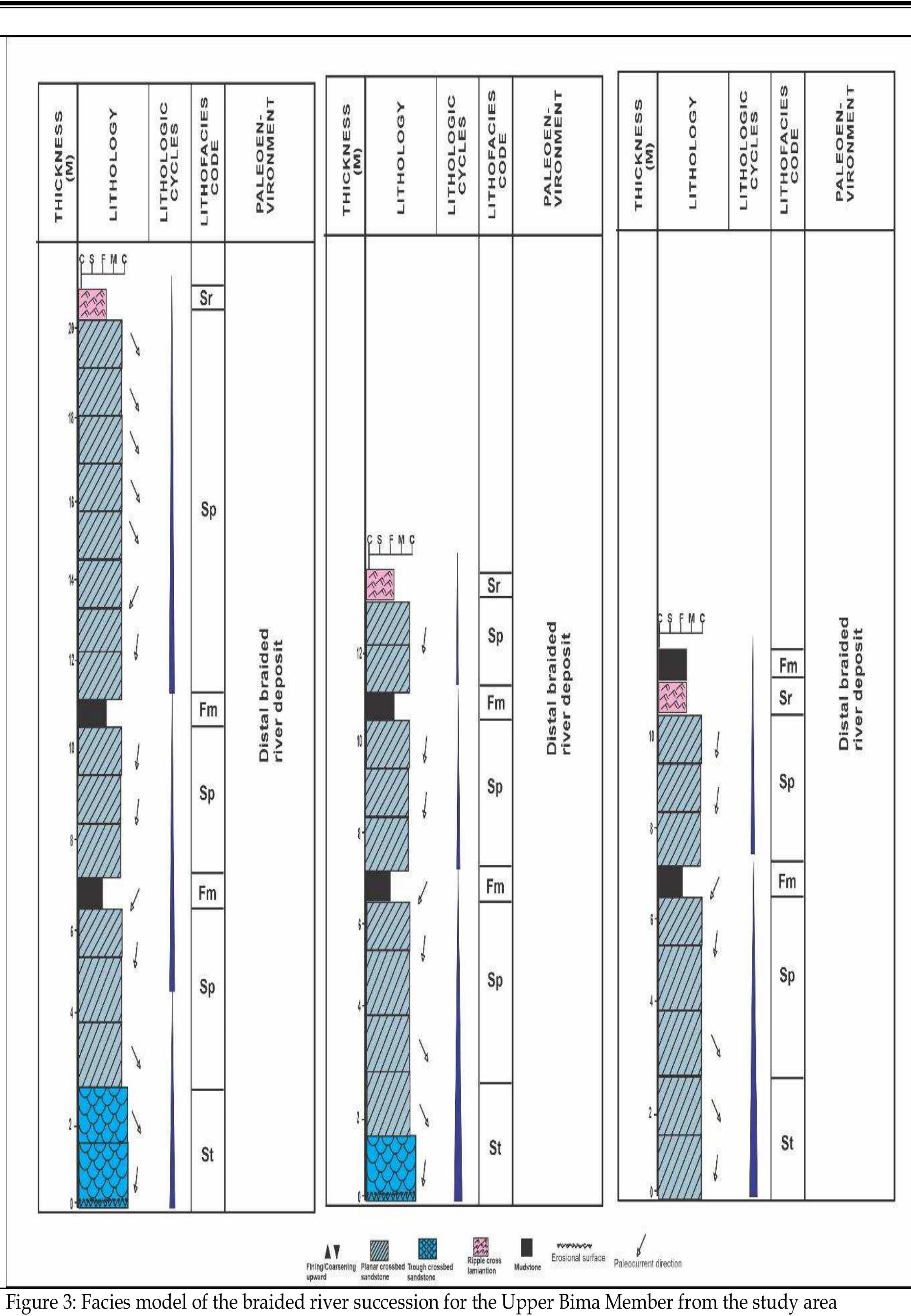 The primary depositional structures of the upper bima member