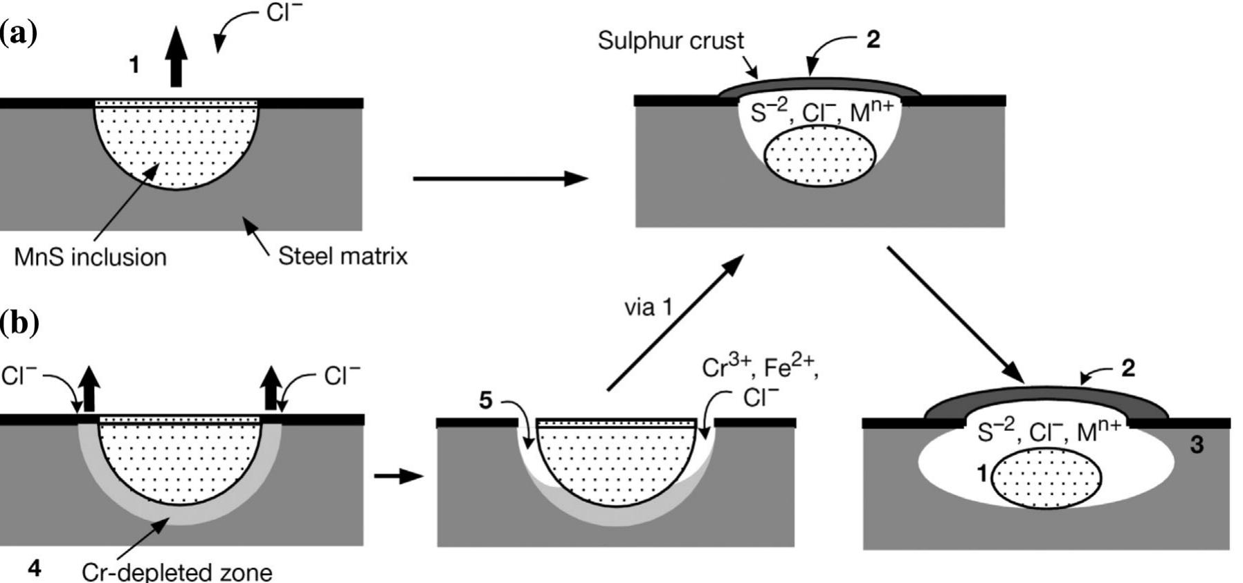 Schematic illustration of the triggering of pitting