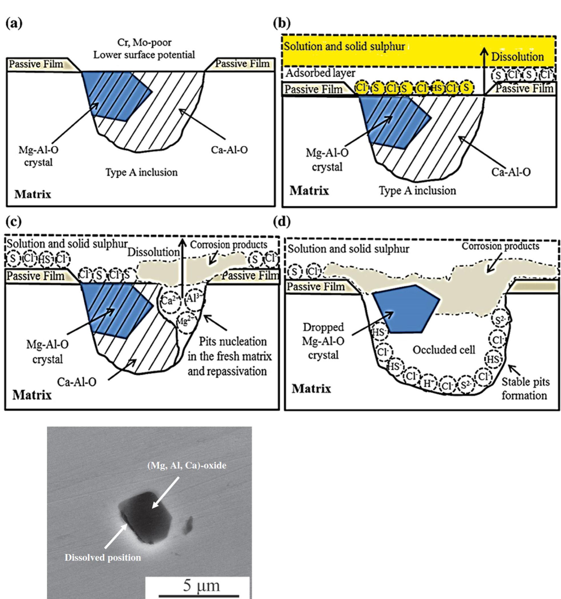 Schematic illustration showing the mechanism of pit