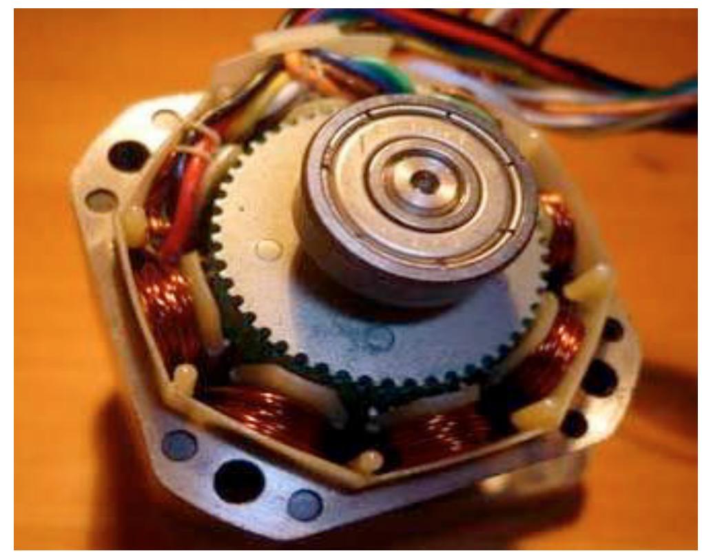 The internal structure of the stepping motor. stepping motor