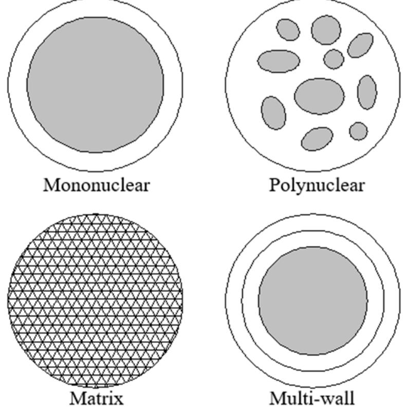 Microcapsule types, jamekhorshid [112]. figure 5.