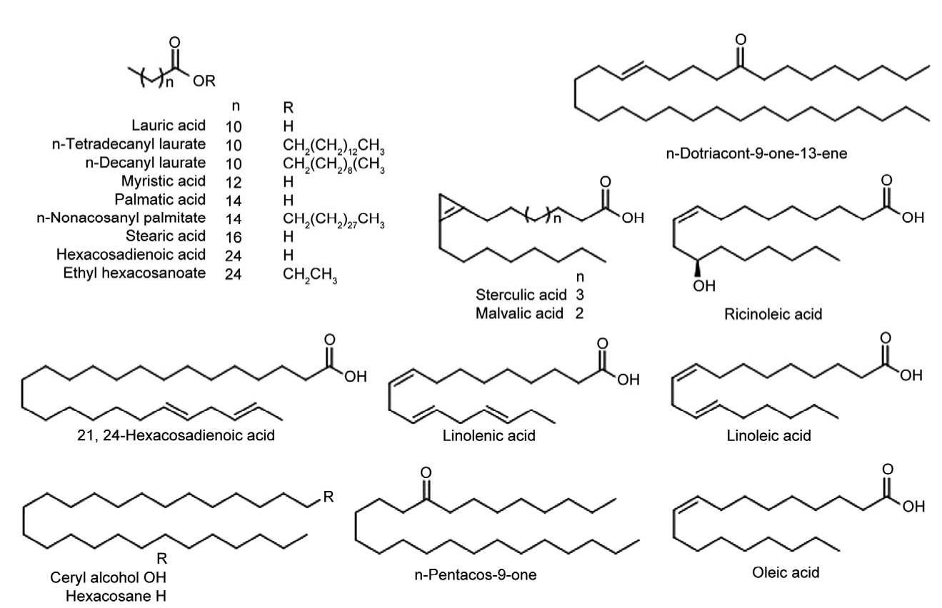 chemical structure of fatty acids and hydrocarbons