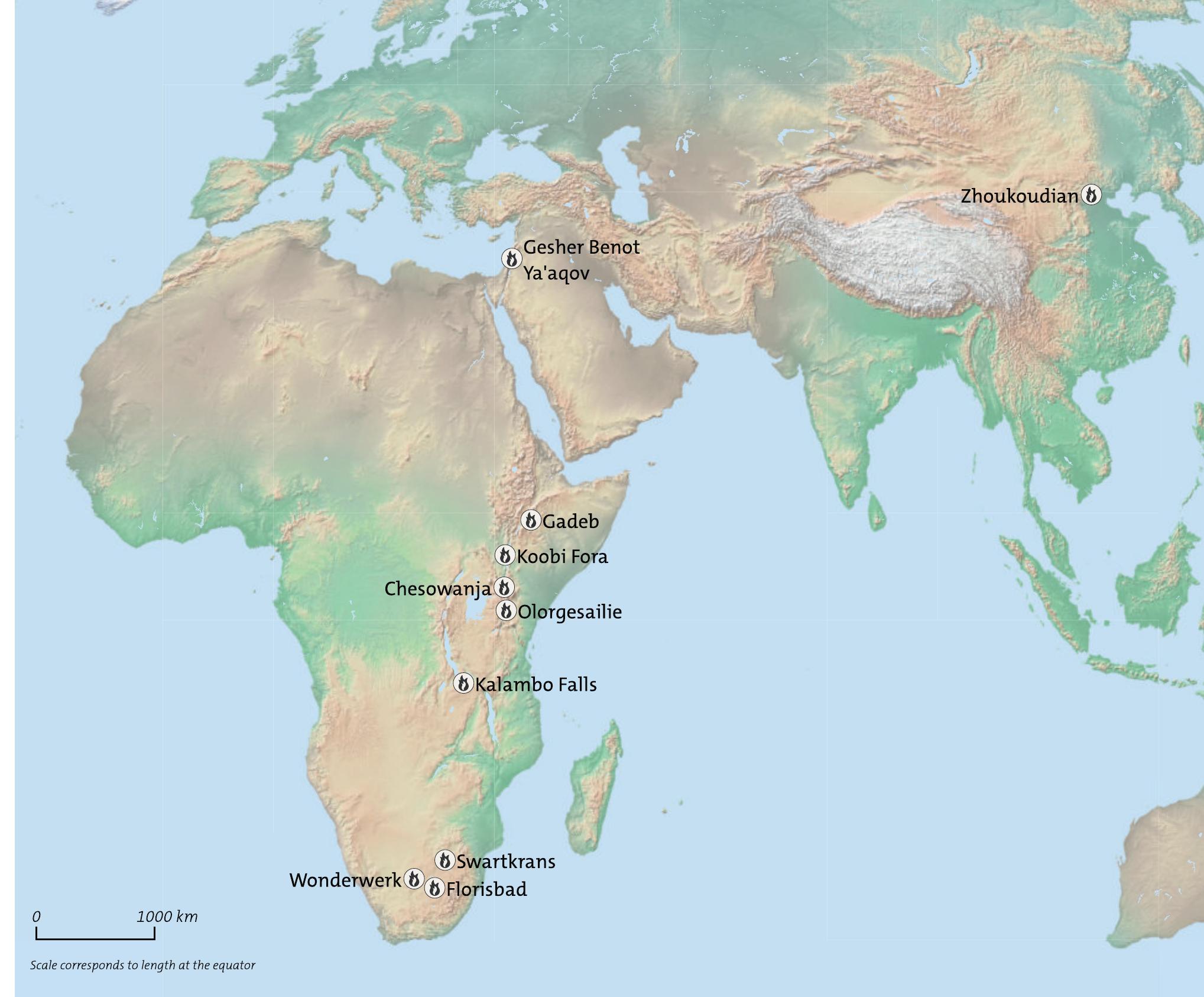 (PDF) Early human use of fire