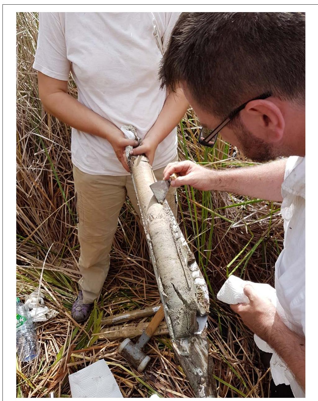 Figure 4 - Colonization During Colonialism: Developing a