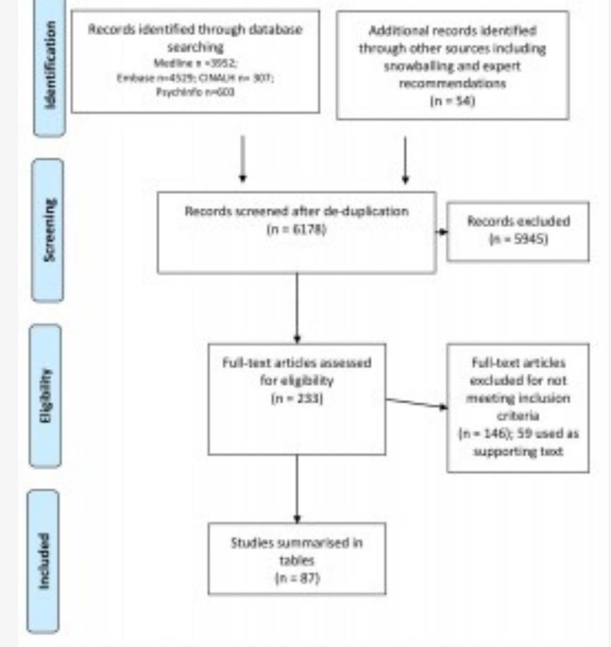Flow chart of literature search strategy