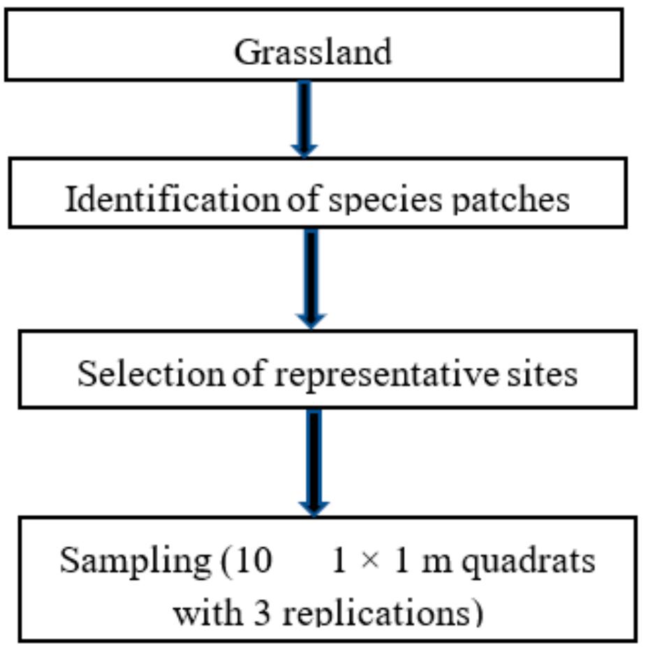 Diagram showing how sampling was carried out. samples sites