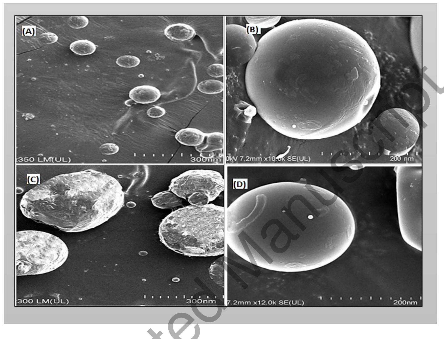 Figure 1 - Polymer-based prolonged-release nanoformulation