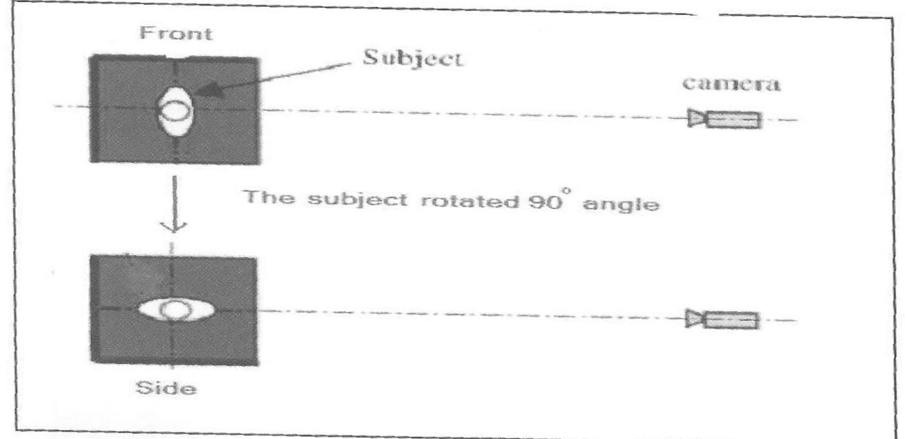 Figure 1 - Development of Human Body Measurements Size