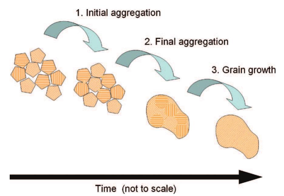 Schematic diagram showing the mechanisms of coalescence.