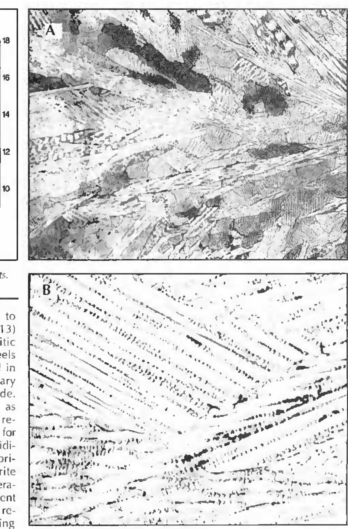 the fusion zone microstructure for heat 1356, mixed acid