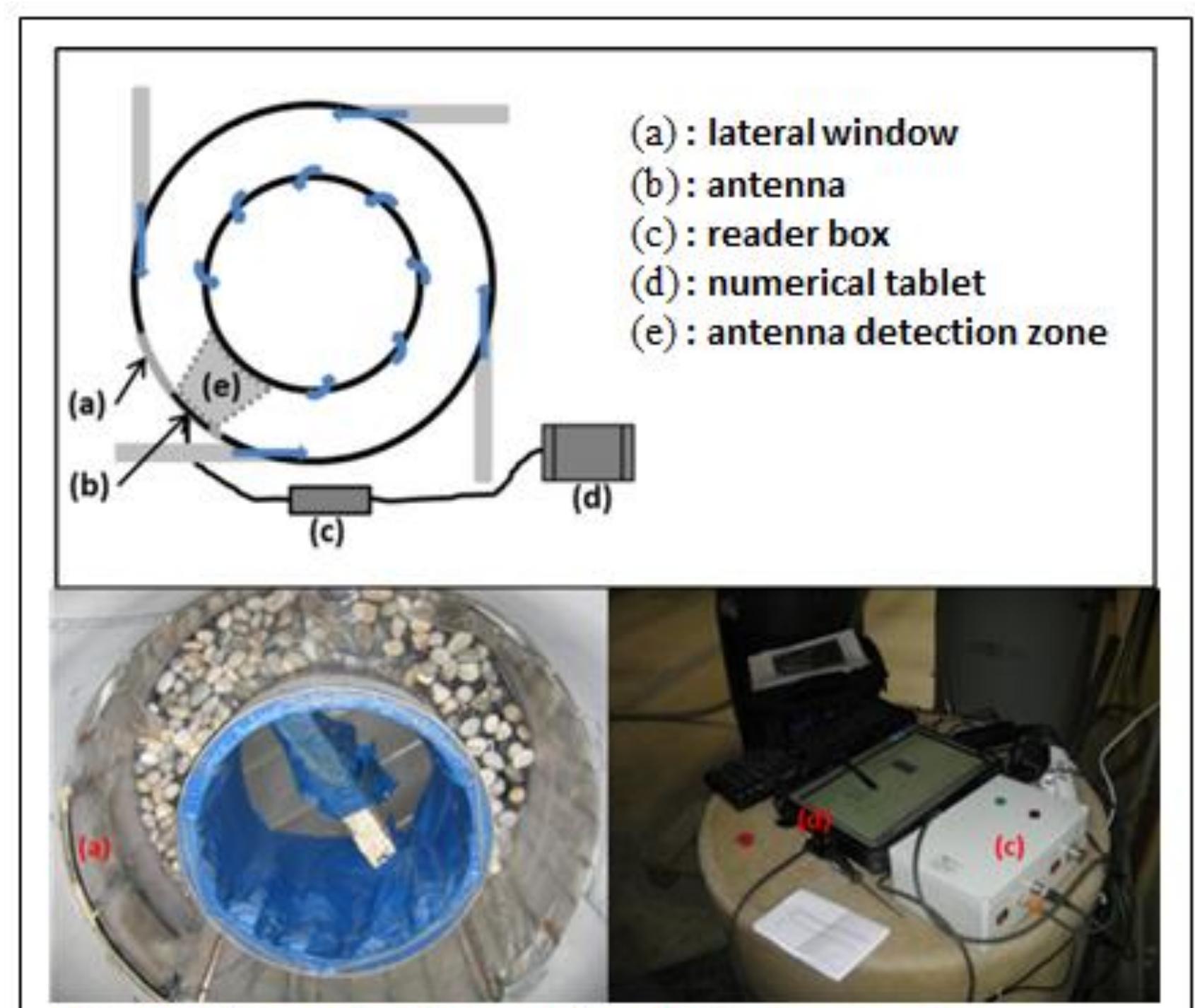 Igure 6: the annular flume equipped with the rfid system.