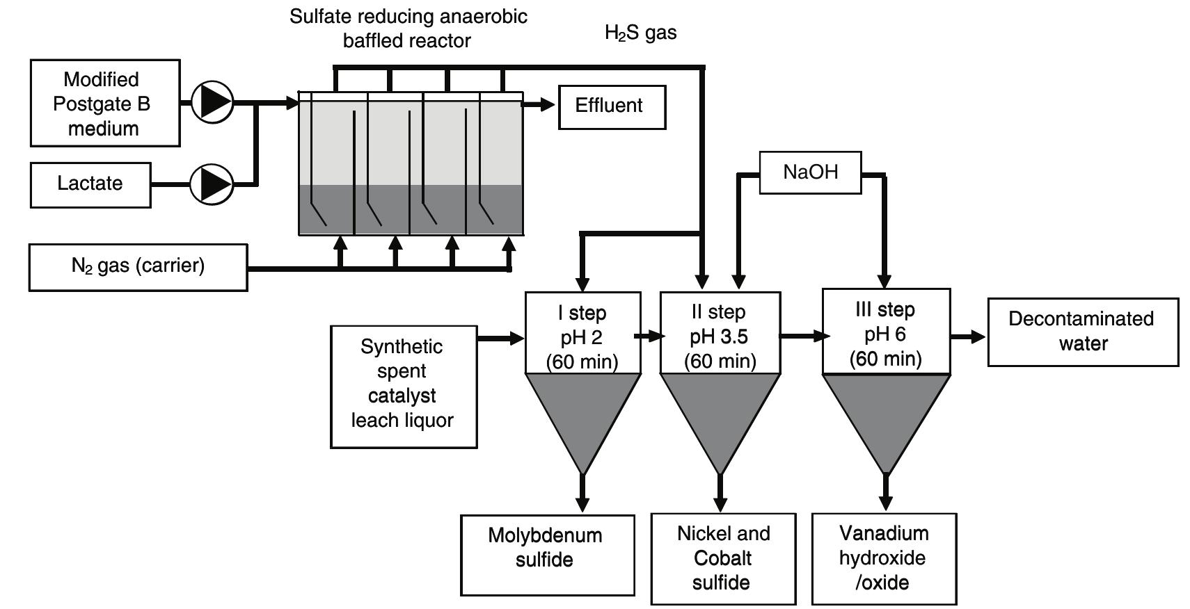 Schematic diagram of the process with sulfate reducing