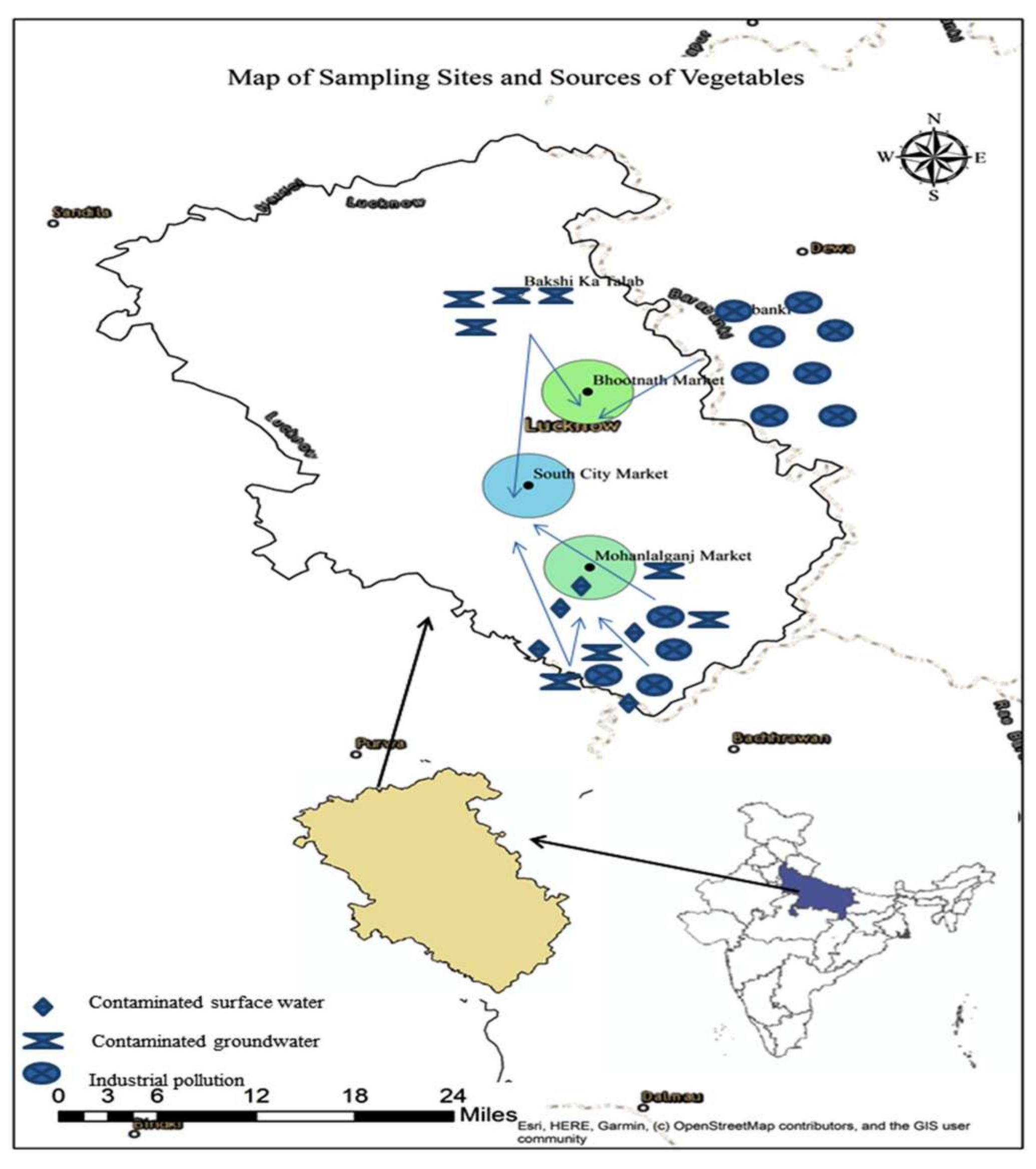 Locational map of sampling site where vegetable samples col-