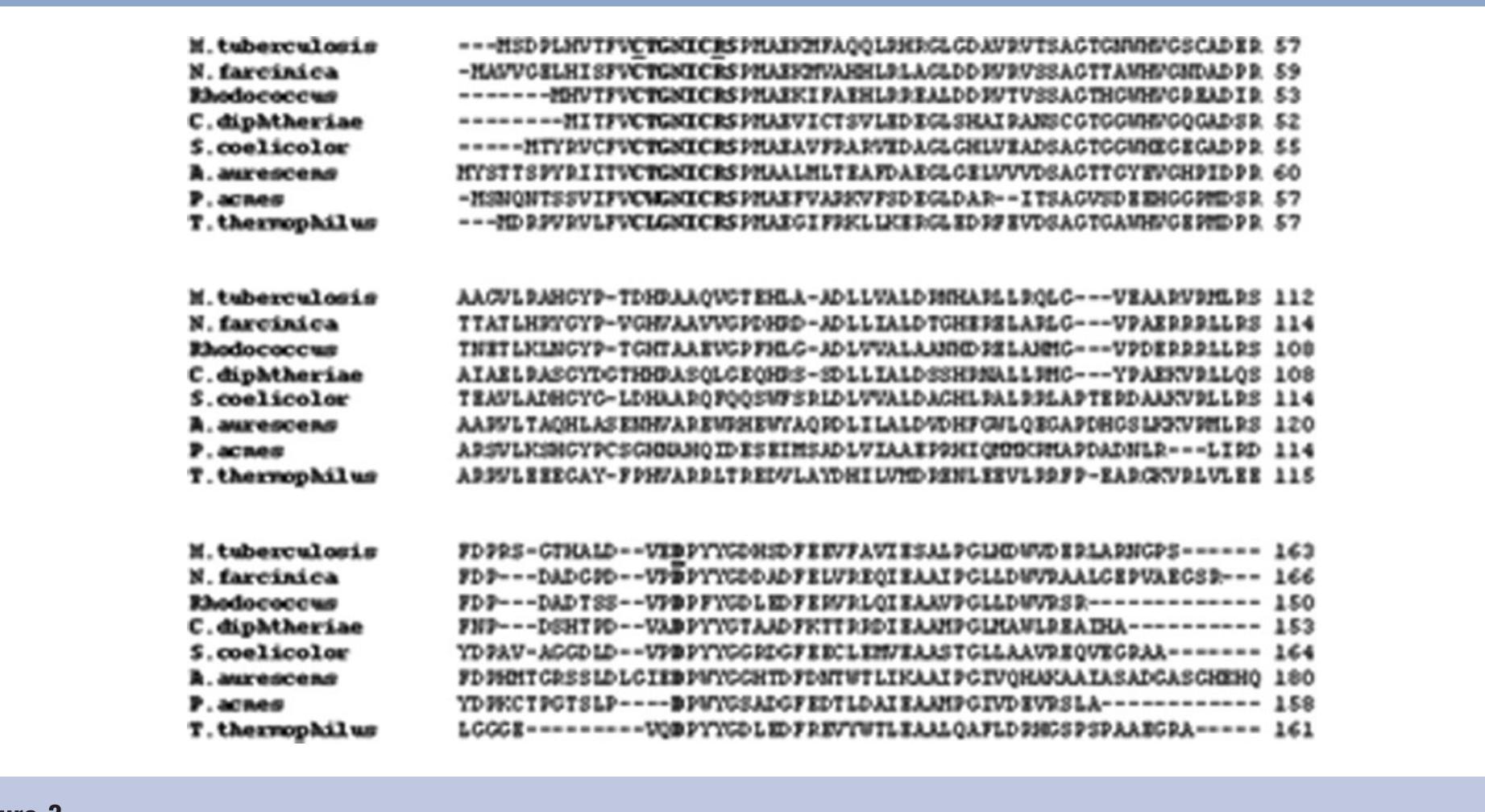 Multiple sequence alignment of low molecular weight protein