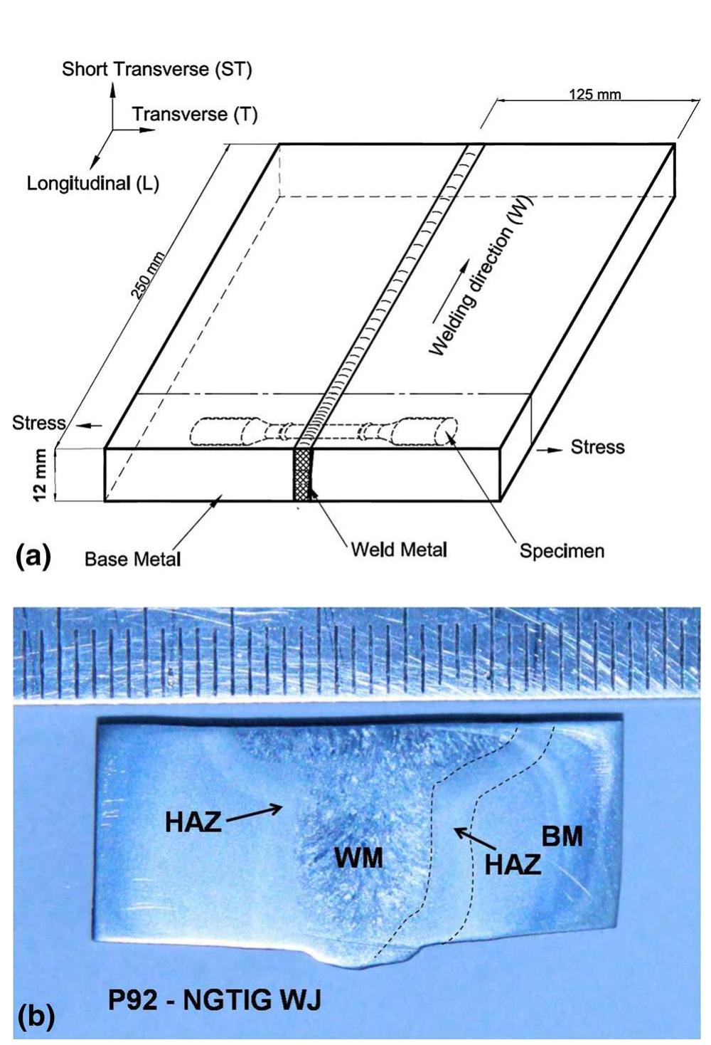 (a) schematic of creep specimen extraction from the weld pad