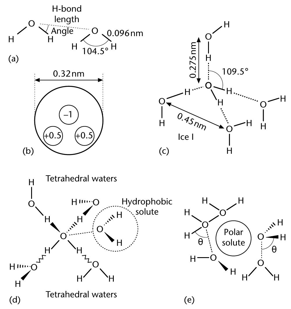 Structure of water. (a) definition of key lengths and