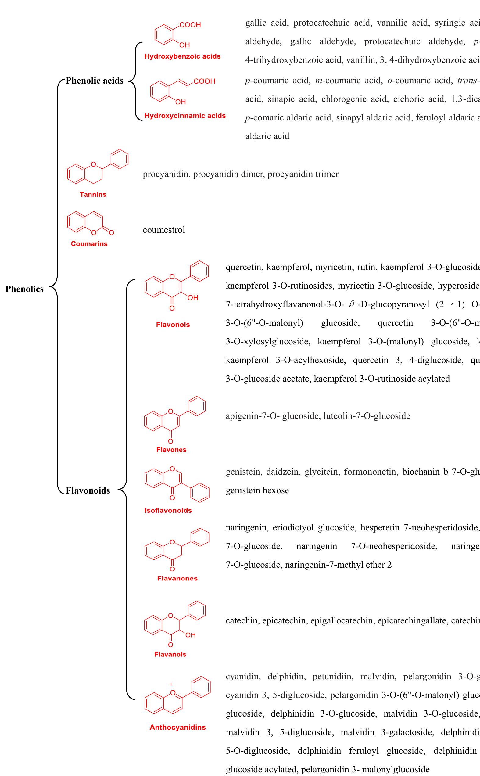 —main common bean phenolics and chemical structures for