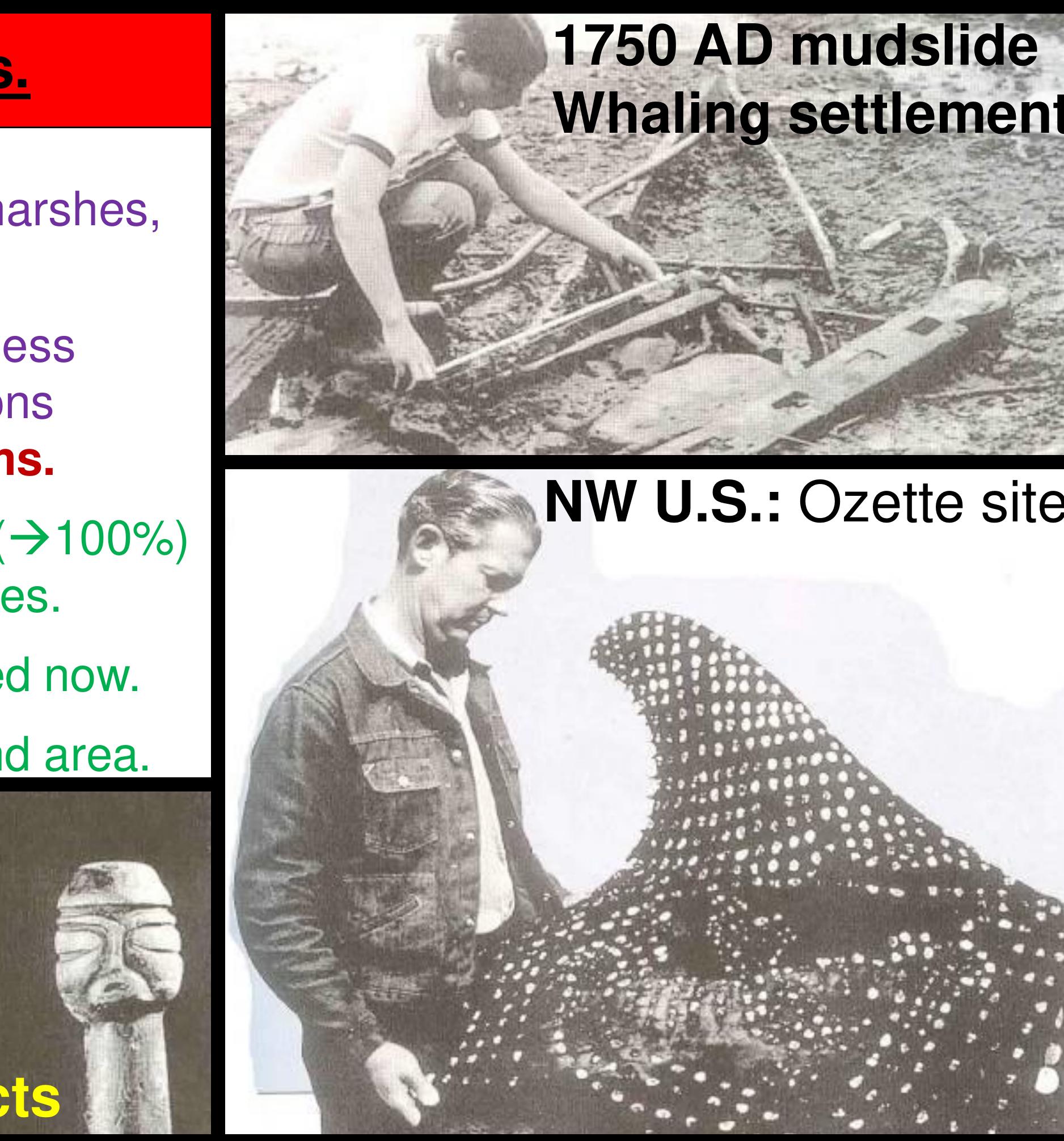 Figure 53 - Anth.106 Ppt. lecture-3: summary of & supplement