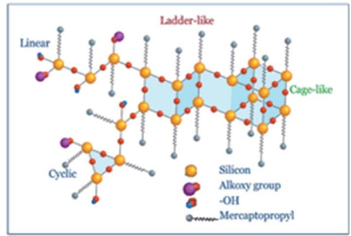 Molecular architectures of the sh-nbbs. adapted with